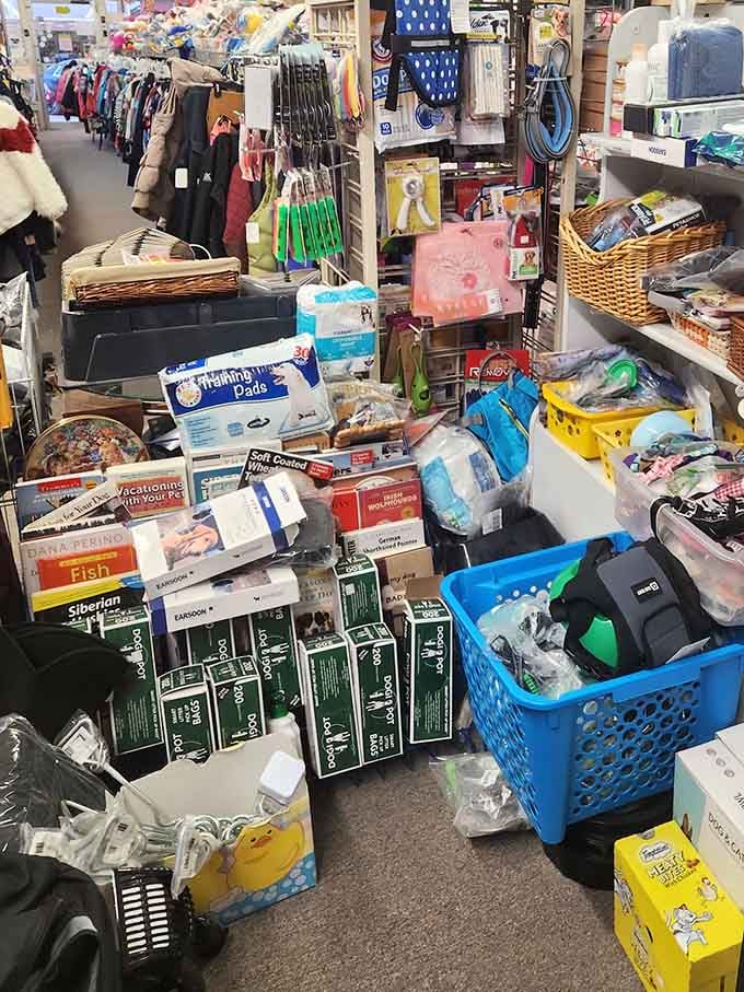 Treasure hunting paradise! Narrow pathways lead through mountains of merchandise where yesterday's memories wait to become tomorrow's discoveries.