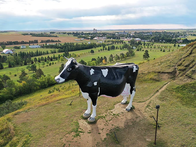 From this angle, you can truly appreciate Sue's impressive profile against the patchwork quilt of North Dakota farmland&mdash;dairy royalty with a view.