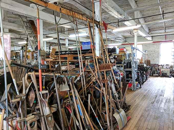 Garden tools with more history than some history books. These weathered handles have stories to tell—if only they could talk between digging sessions.