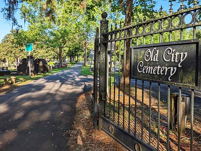 Welcome to Tallahassee's most peaceful neighborhood, where the rent is permanent and the views never change.