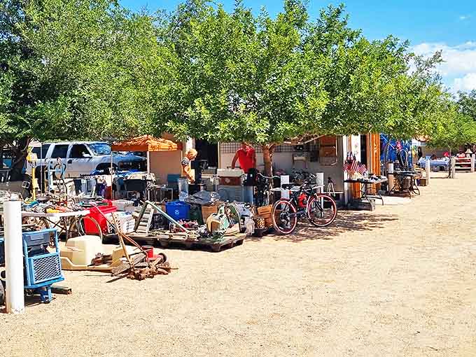 Treasure hunting under the shade of desert trees&mdash;where one person's castoffs become another's prized possessions in this sprawling outdoor bazaar.