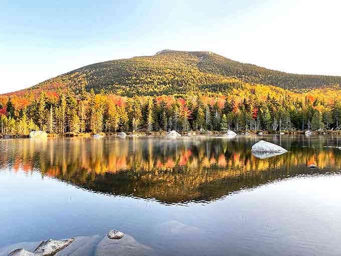 Sandy Stream Pond offers mirror-perfect reflections that would make a Hollywood makeup artist jealous. Pure Maine magic.