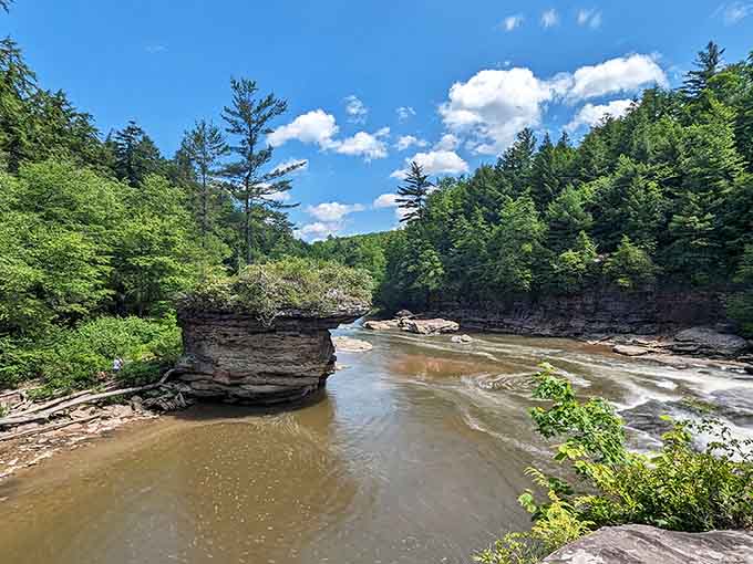 When the river runs high, these ancient rock shelves become front-row seats to Maryland's most underrated water show.