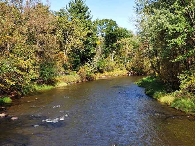 Sunrise Creek meanders through like it's auditioning for a nature calendar and absolutely nailing it.