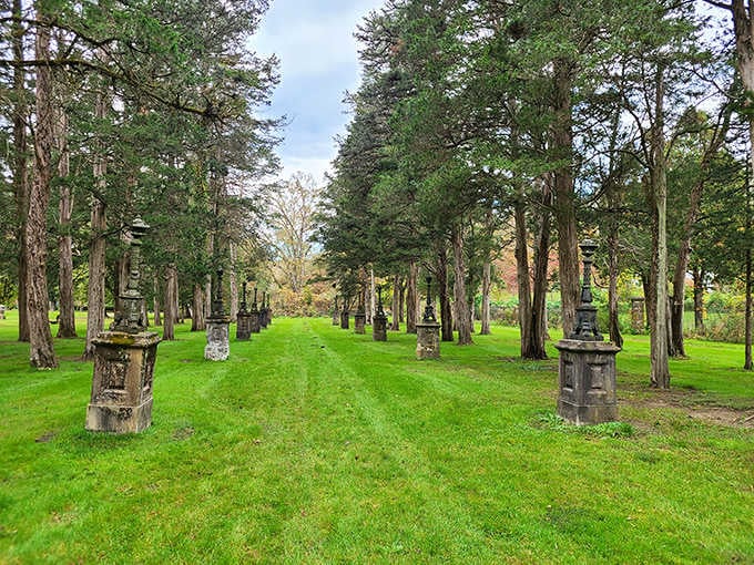 Stately pines stand guard along this serene garden path, where stone pillars mark the way through Ringwood's historic grounds.