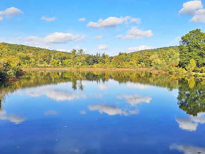 Fall foliage transforms the lake into a watercolor painting, minus the expensive frame and pretentious gallery opening.