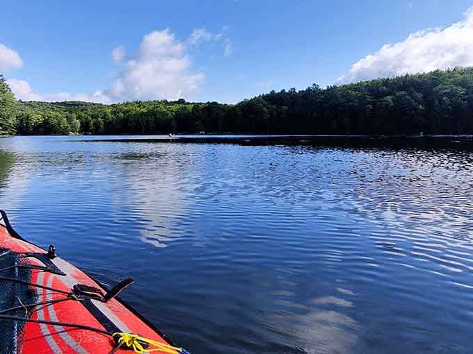 Kayaking Half Moon Pond feels like gliding across liquid glass&mdash;the kind of serenity you can't download from an app.