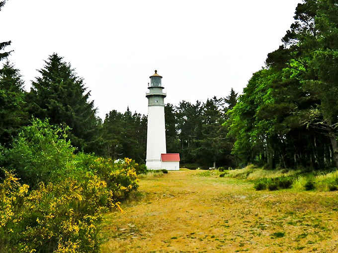 Standing tall at 107 feet, Washington's tallest lighthouse commands the coastline like a maritime skyscraper with better views.