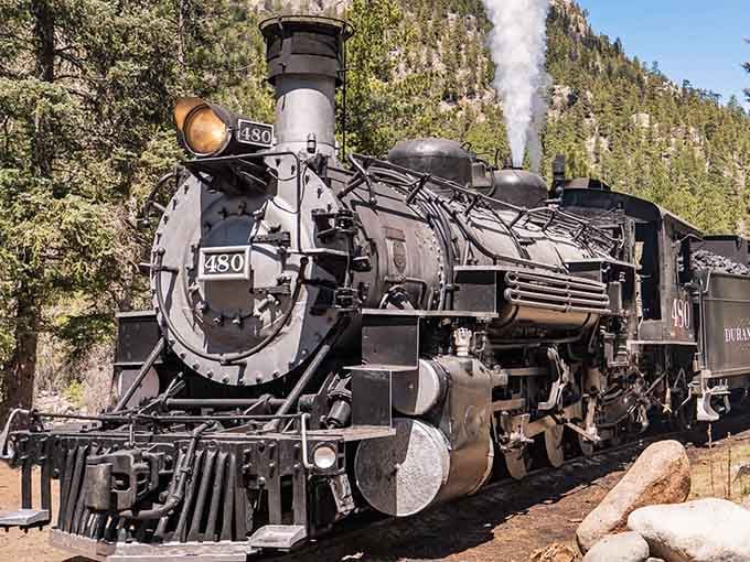 This gleaming steam locomotive looks ready to transport you back to an era when travel meant something more than airport security lines.