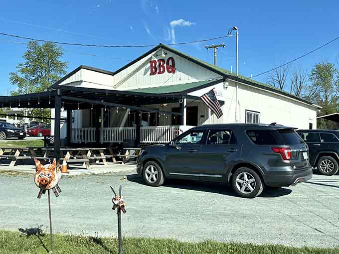 Whimsical pig decorations greet visitors to this barbecue temple where pork belly dreams and community connections are made daily.