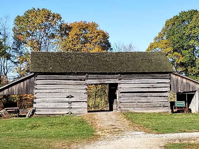 Step right up—this weathered barn stands proud, like a frontier postcard aging gracefully under golden autumn skies.
