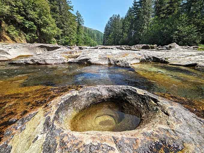 Nature's own sculpture garden: the fascinating basalt formations at Naked Falls showcase centuries of water carving through golden rock.