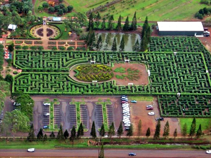 Aerial mastery: The world's largest maze sprawls across Oahu's landscape like a giant green puzzle waiting to be solved.