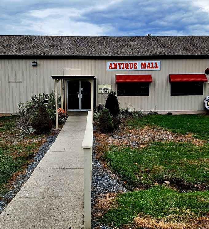 That unassuming exterior hides a treasure trove that'll swallow your afternoon whole and you'll thank it.