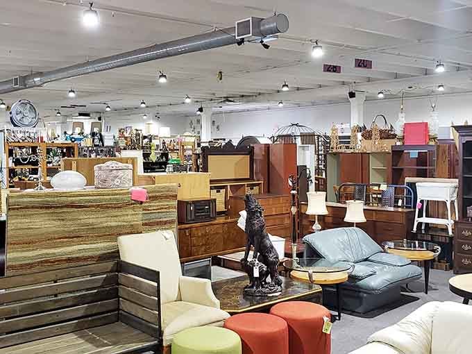 The furniture section showcases mid-century pieces alongside contemporary finds. That leather armchair has definitely heard some interesting conversations in its lifetime.