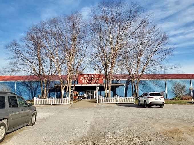 The blue exterior of Bright's Antique World stands like a time portal in Franklin, Kentucky—bare winter trees creating a perfect frame for this treasure hunter's paradise.