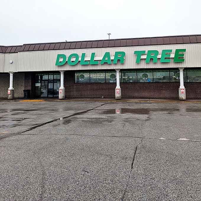 Even on gray Duluth days, the Dollar Tree's vibrant signage promises a colorful shopping experience within its budget-friendly walls.