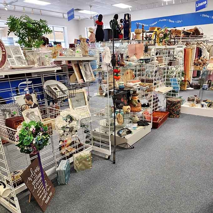 The treasure hunter's paradise awaits! At Care & Share, every aisle promises discoveries that'll make your wallet and conscience equally happy.