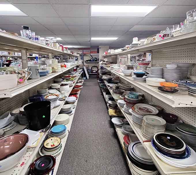Dish paradise! Rows of plates, bowls, and serving pieces await new homes – perfect for mismatched charm or completing your collection.