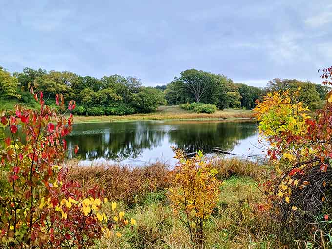 When fall decides to show off at Sibley State Park, the lakes become mirrors reflecting nature's finest work.