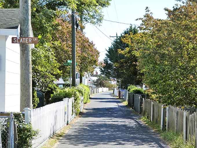 Those narrow lanes flanked by white picket fences aren't just charming, they're basically the island's version of highways.