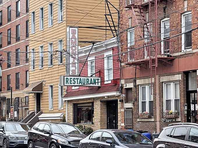 The iconic vertical sign has guided hungry New Yorkers to this Williamsburg treasure for generations, standing as a beacon of culinary tradition.