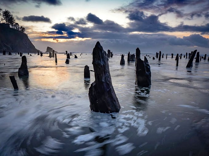 When the ocean decides to reveal its secrets, you get a scene straight out of science fiction.
