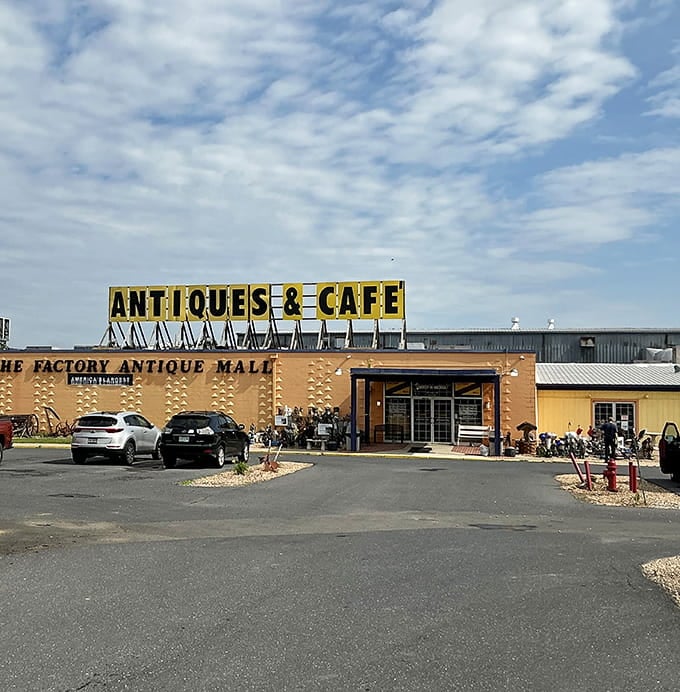 That cheerful orange building practically glows with promise, like a beacon calling treasure hunters home.