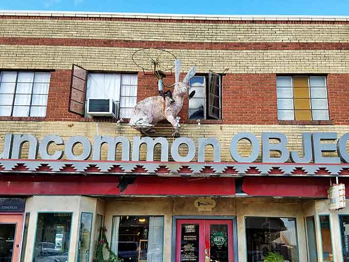 This quirky shop's retro sign and unique flair are just as unforgettable as the oddities inside.