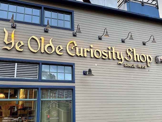 That golden lettering gleaming against weathered wood promises adventures that defy explanation inside.