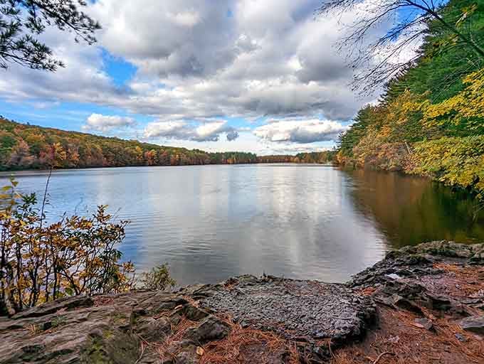 Find your thinking spot by Lake Wintergreen where the water's so calm it makes meditation apps seem redundant.