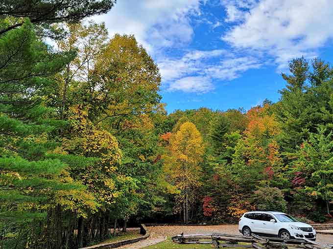 Fall's paint palette on full display, turning a simple parking lot into the kind of scene that makes you forget your destination.