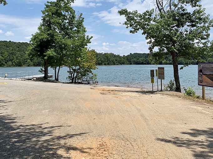 Lake views framed by forest where the scenery does all the heavy lifting while you simply exist and enjoy.