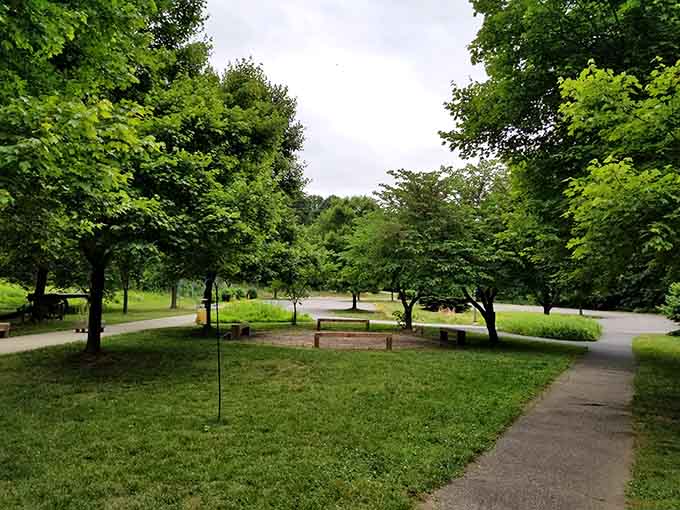Picnic perfection awaits under a canopy of green. These shaded grounds offer respite from summer heat and the perfect backdrop for family sandwiches and secret recipes.