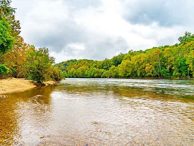 Sandy riverbanks meeting gentle currents create the kind of wading spot that makes you forget your phone exists.