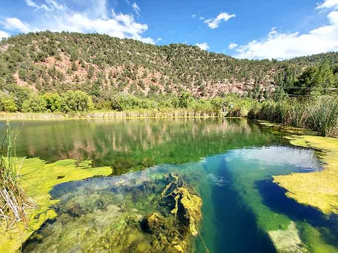 The emerald waters and limestone formations create a scene so serene, you'll forget your phone exists for five whole minutes.