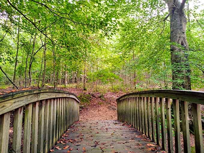 That wooden bridge beckons you into a forest so lush, even Snow White would feel overdressed.