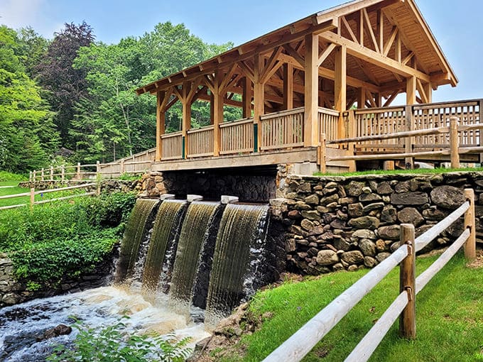 Water tumbles over stone like nature's own fountain show, proving the best entertainment doesn't require a subscription service.