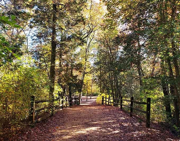 When the path ahead looks this inviting, you know you've found something special in the Pinelands.