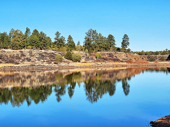 Ponderosa pines stand like sentinels along the shoreline, their perfect reflections creating a symmetry that would make any photographer swoon.
