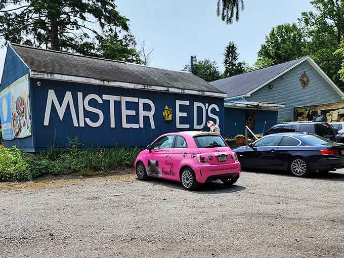 Bright colors and a lively atmosphere welcome you, with a customer's car adding a playful touch to the scene.