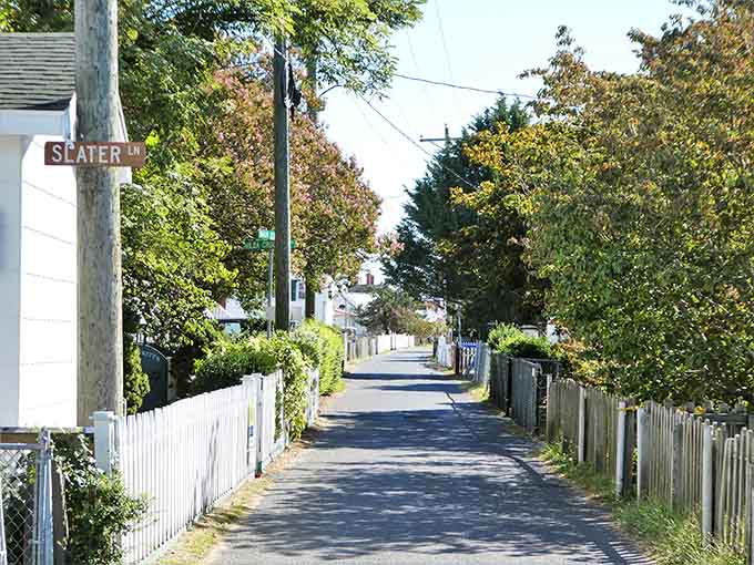 Those narrow lanes flanked by white picket fences aren't just charming, they're basically the island's version of highways.