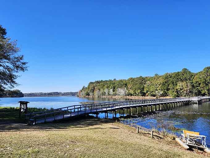 Another day, another postcard moment at Frank Jackson State Park. Those trees frame the water like they studied composition at art school.
