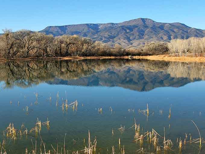This tranquil lagoon proves Arizona has more water features than just mirages and broken air conditioners.