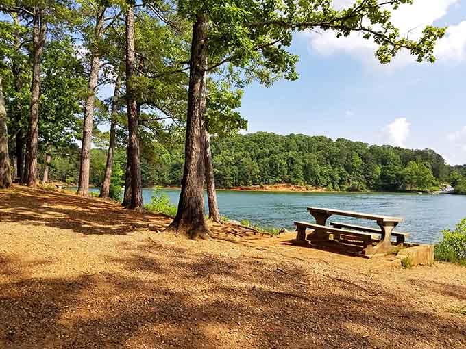 Lake Allatoona stretches out like nature's own infinity pool, minus the pretentious resort fees.