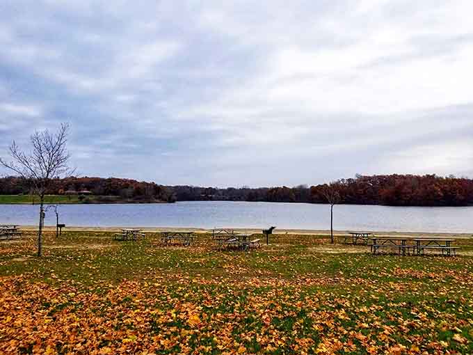 Fall leaves carpeting the picnic area like nature decided to redecorate while you weren't looking.