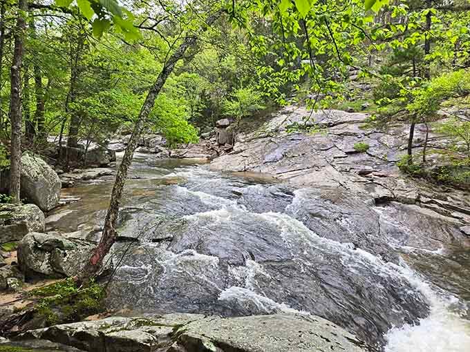 Water ballet in slow motion. Pickle Creek's rushing waters perform a continuous dance over smooth stone that would make any choreographer jealous.
