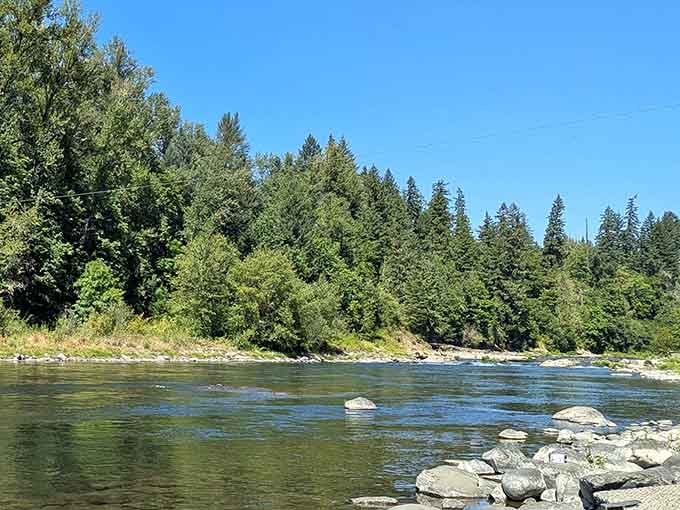 Summer sunshine transforms the Clackamas into a jewel-toned paradise. Those smooth river rocks have been perfecting their lounging technique for thousands of years.