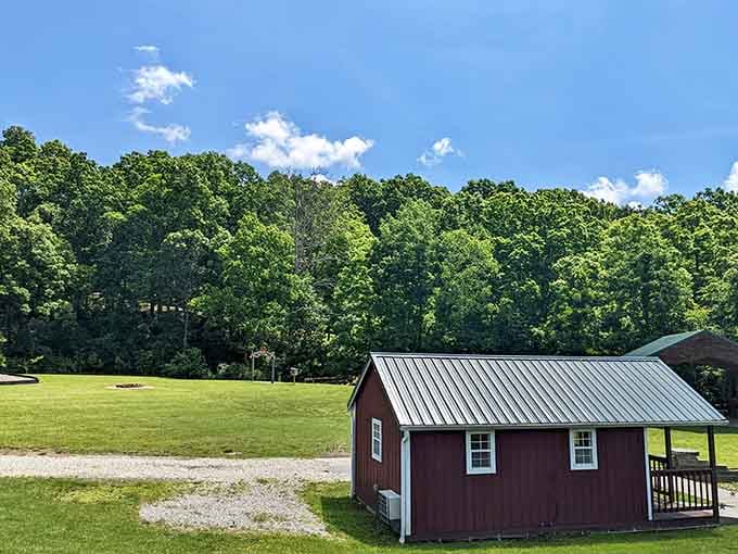 When your cabin comes with a porch and forest views, suddenly checking email seems wildly overrated.