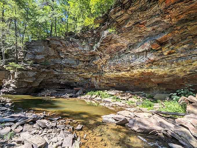 Those layered rock walls tell stories spanning millions of years, creating a natural cathedral you'll have mostly to yourself.